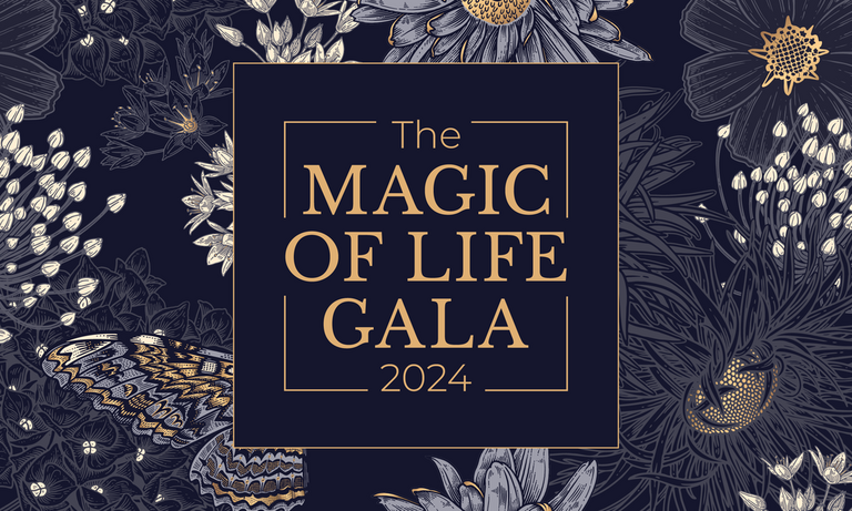 Magic of Life Gala | LifeBridge Health