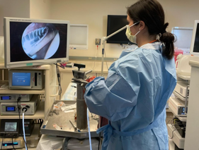 Orthopedic Care | LifeBridge Health